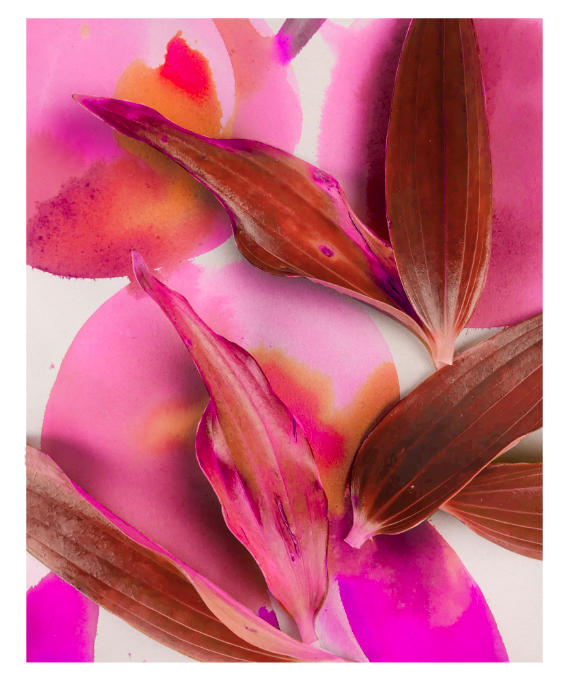 Stina Persson | 海外のイラストレーターへのご依頼は Cross World Connections