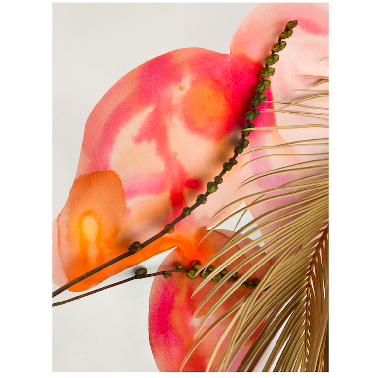 Stina Persson | 海外のイラストレーターへのご依頼は Cross World Connections